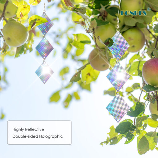 Holographic Reflective Discs, 24 Diamond-Shape Disks - EONBES