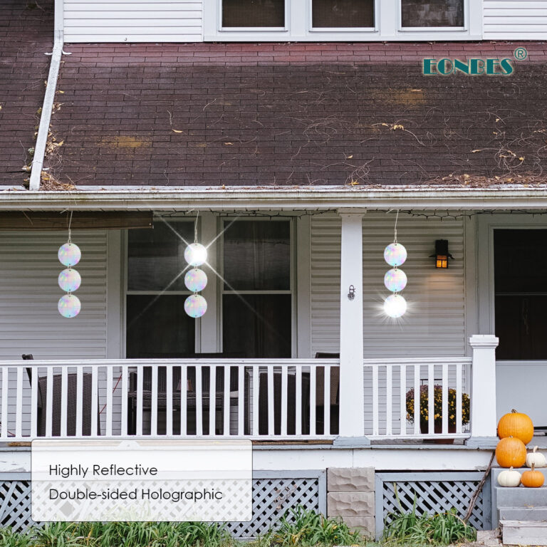 Holographic Reflective Discs, 24 Round Disks - EONBES