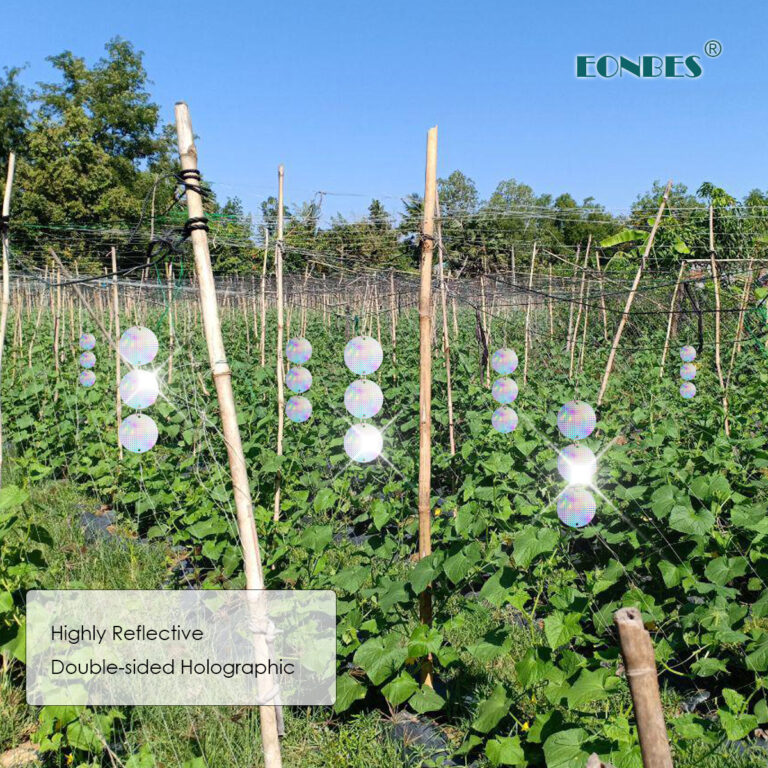 Holographic Reflective Discs, 24 Round Disks - EONBES