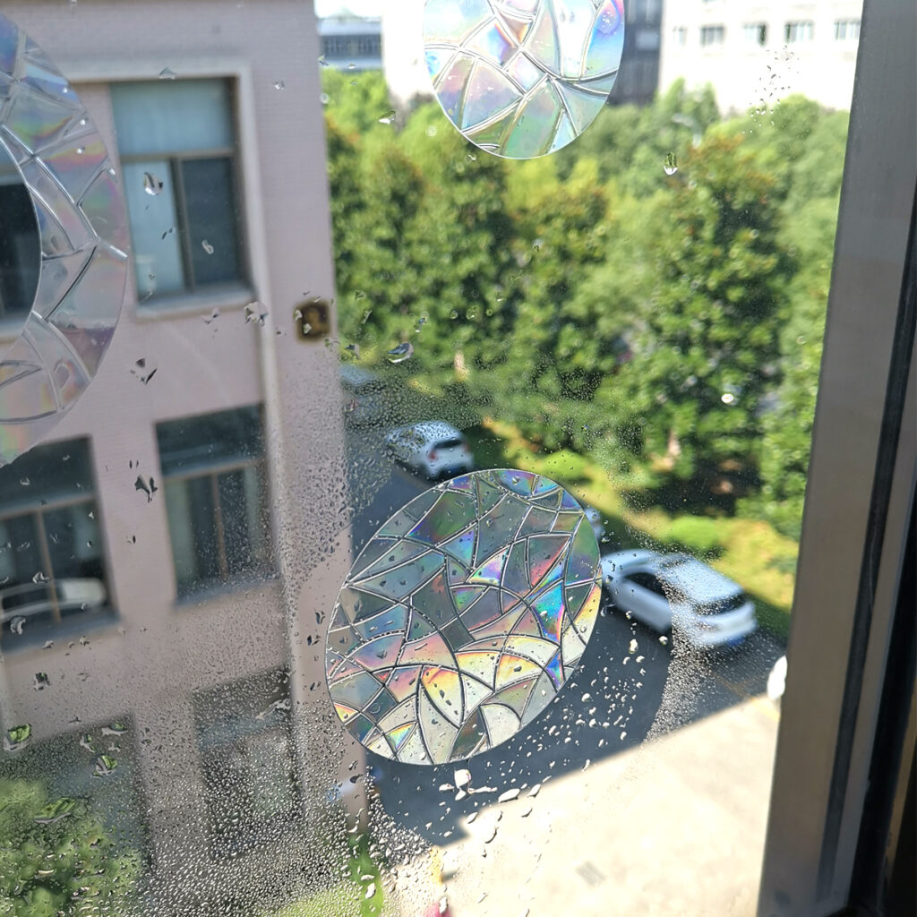 Prism Circle and Ring Window Static Cling - EONBES