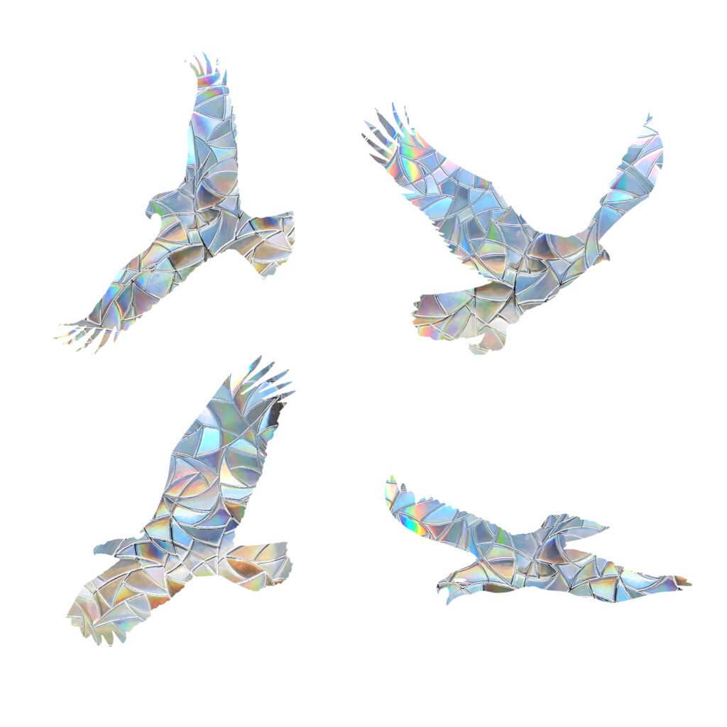Eagle Anti Bird Strike Window Clings - EONBES