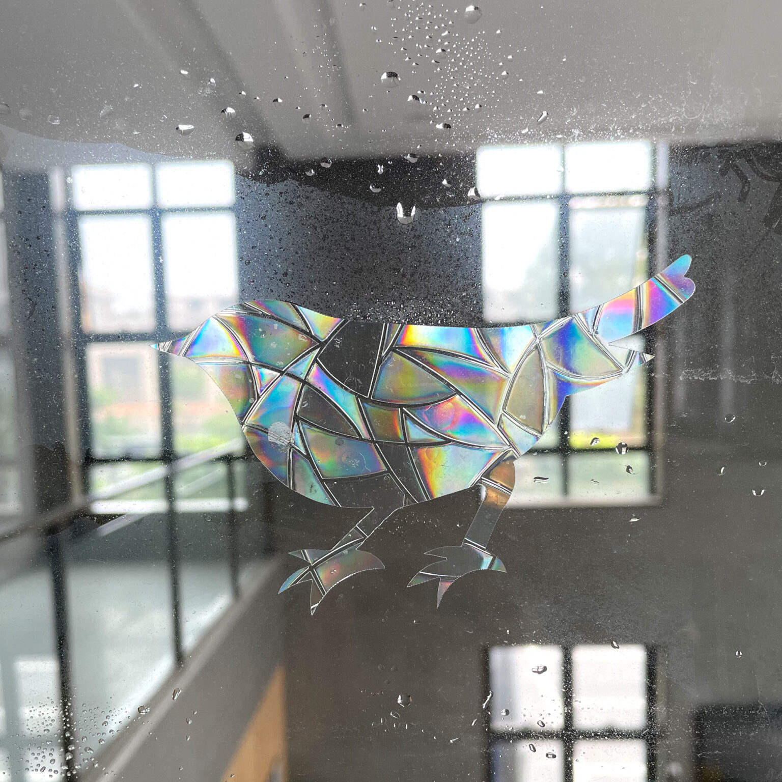 Bird Prism Window Decal - EONBES