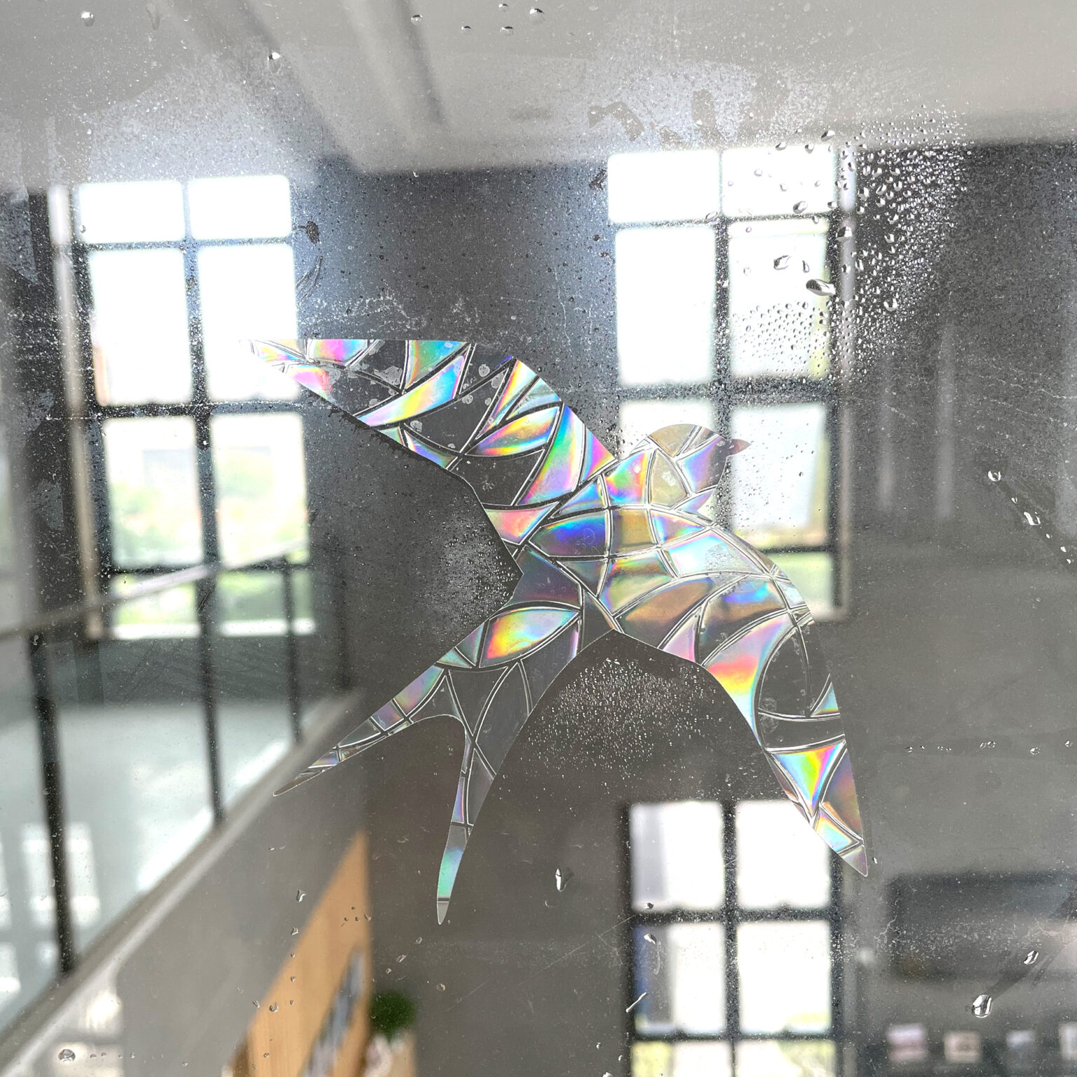 Bird Prism Window Decal - EONBES
