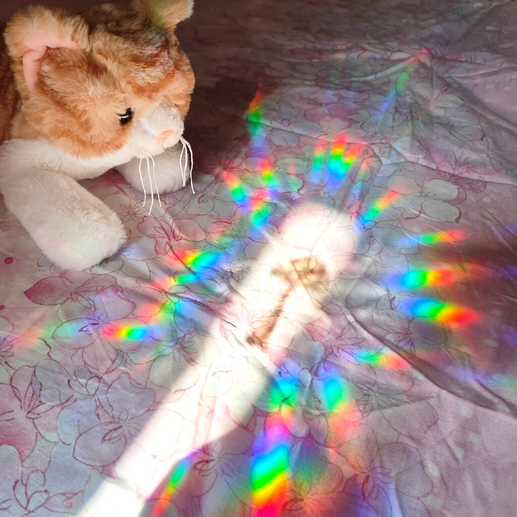 Hummingbird Window Decals - EONBES